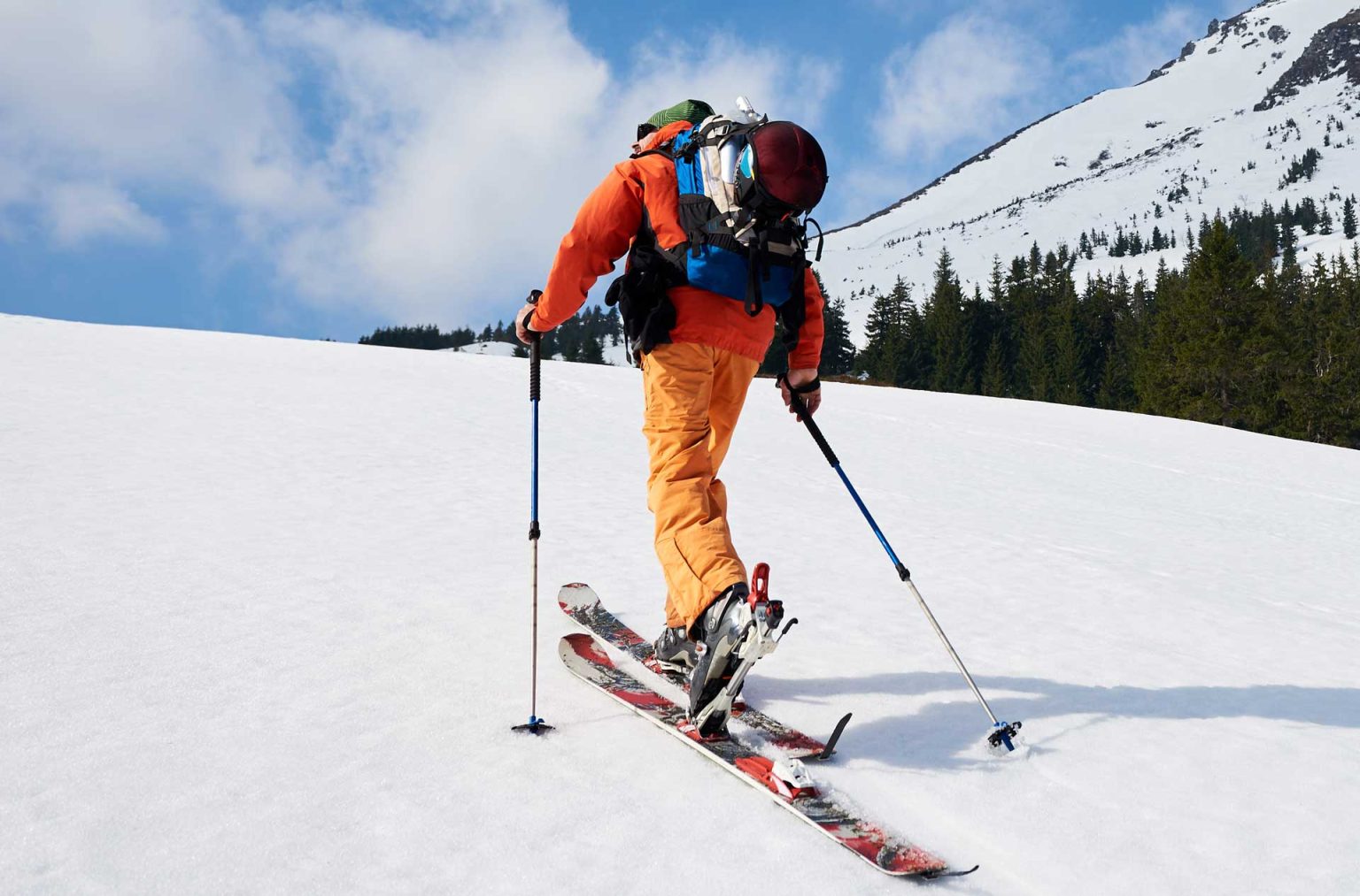 Guida allo sci alpinismo in Val di Sole: esplora le vette! • Ursus ...